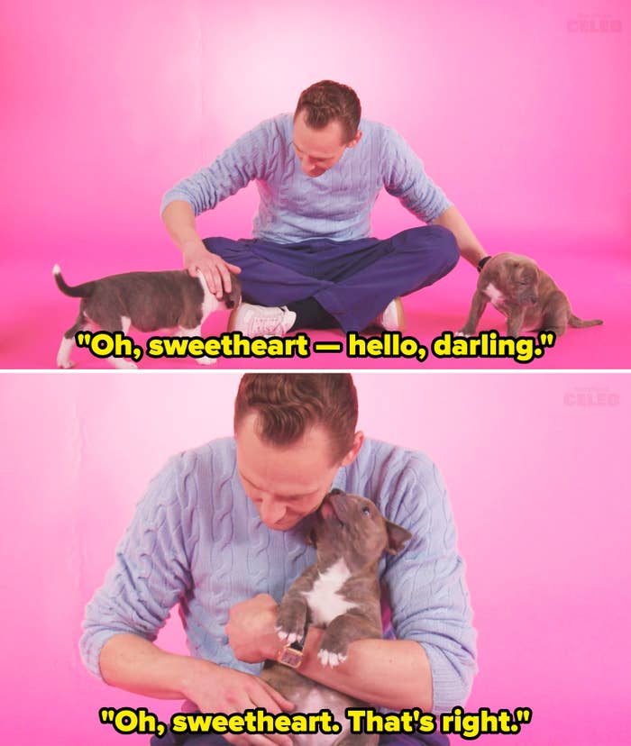 Tom Hiddleston Puppy Interview