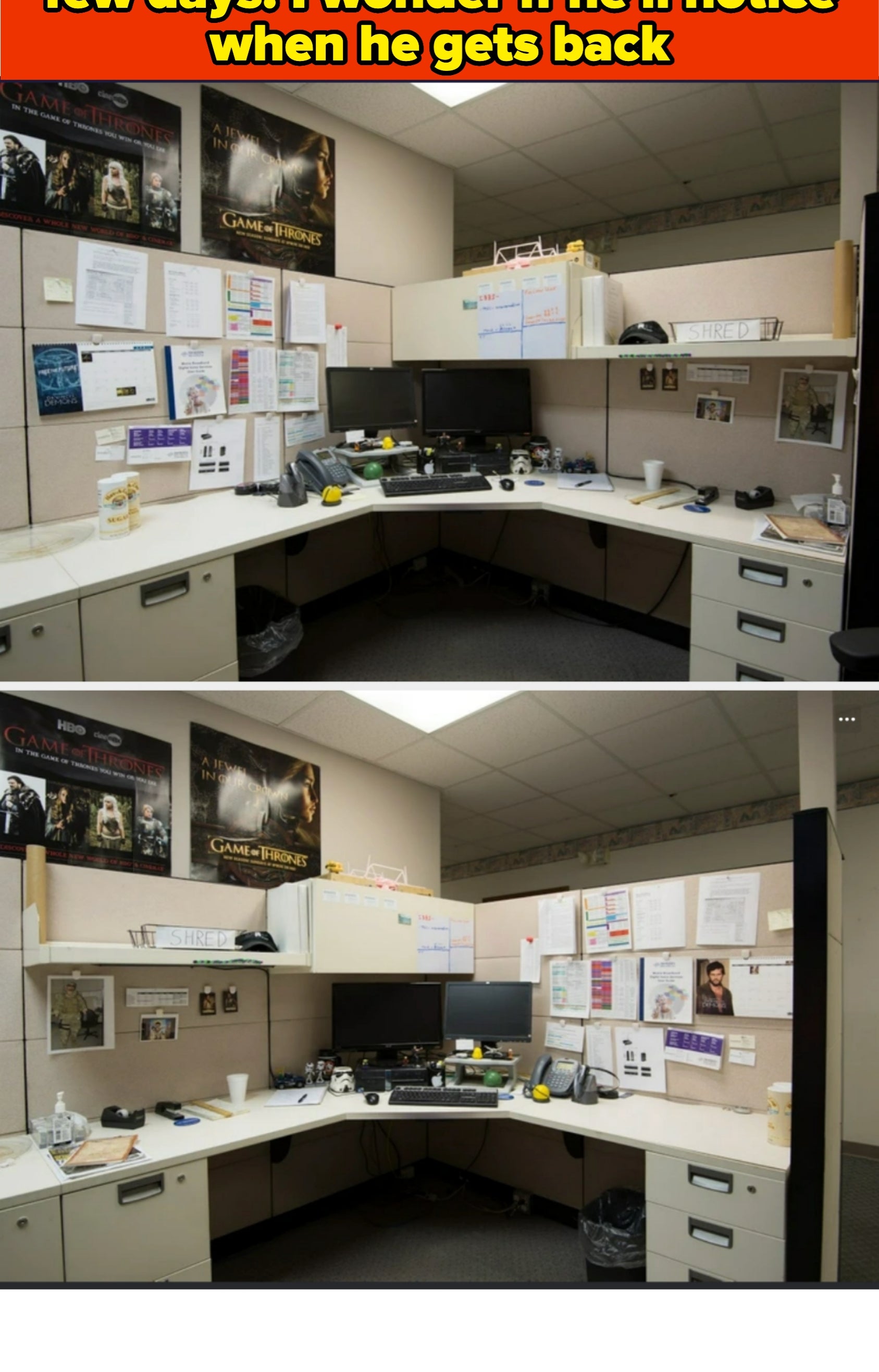 47 Hilariously Chaotic Employees