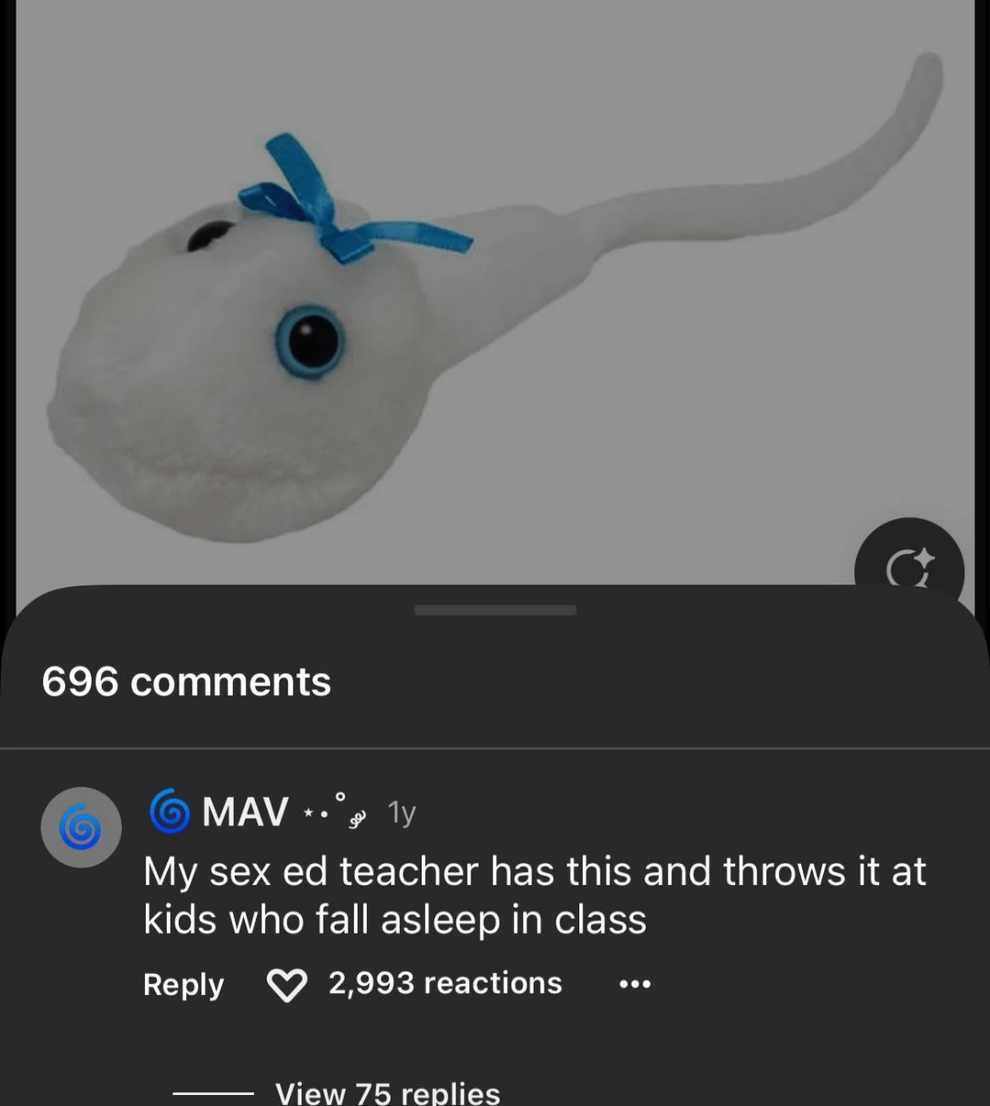 75 Extremely Dumb Pictures That Pretty Much Never Fail To Make Me Laugh ...