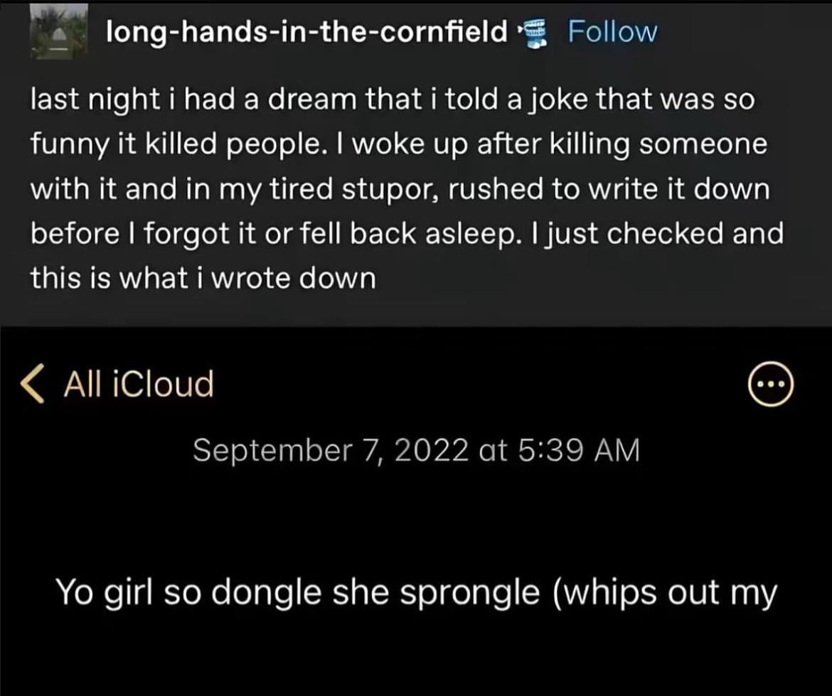 75 Extremely Dumb Pictures That Pretty Much Never Fail To Make Me Laugh ...