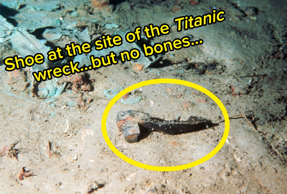 Dark, Creepy, And Horrifying Stuff You Should Know