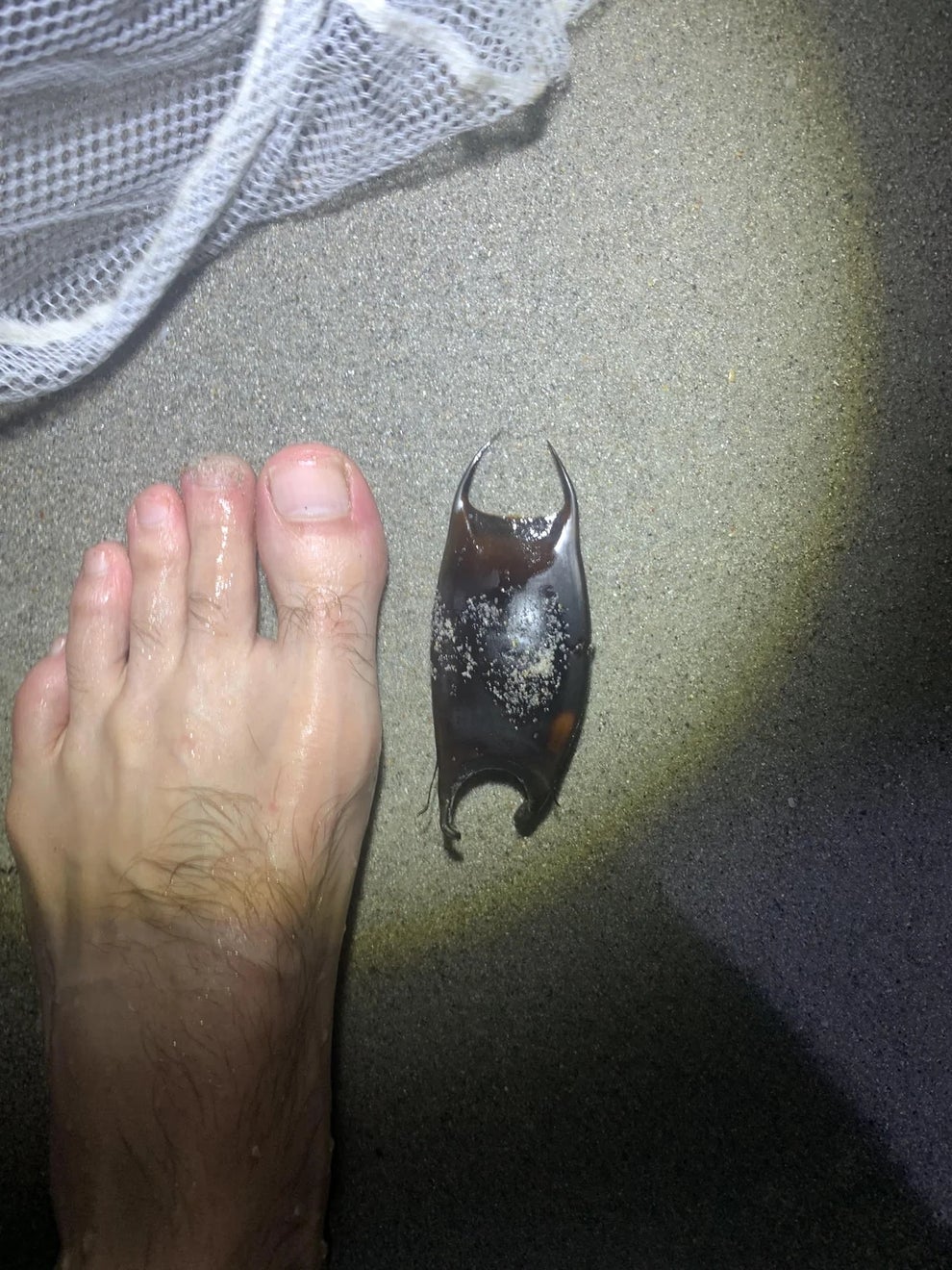 43 Weird Items Identified By People On The Internet