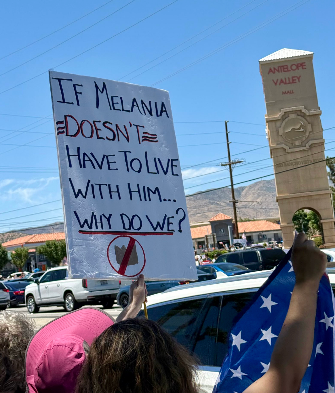 31 More Hilarious Signs From The No Kings Protests