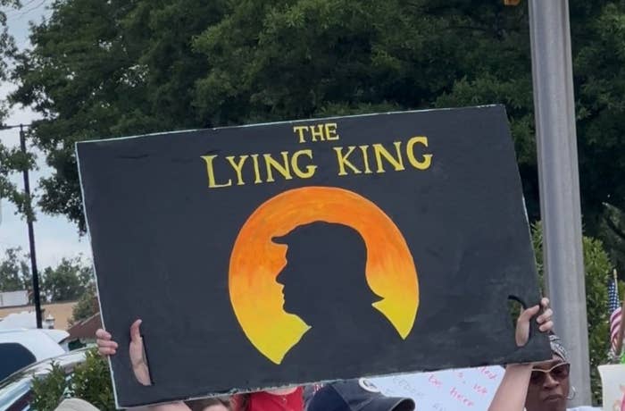31 More Hilarious Signs From The No Kings Protests