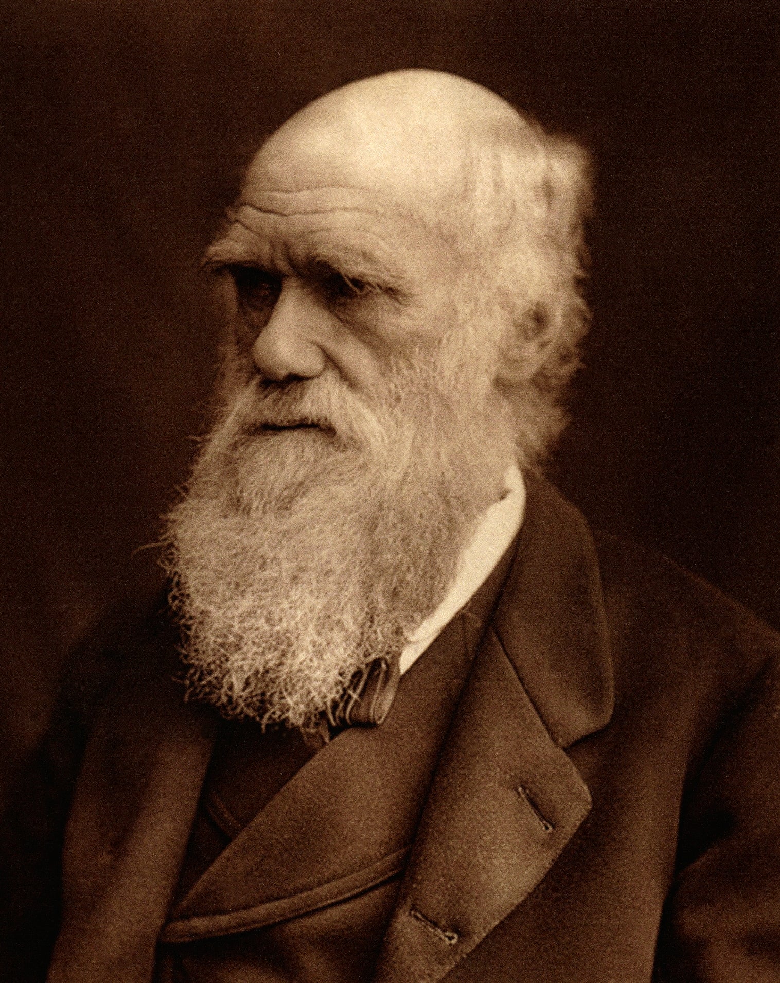 27 Young Photos Of Famous Historical Figures