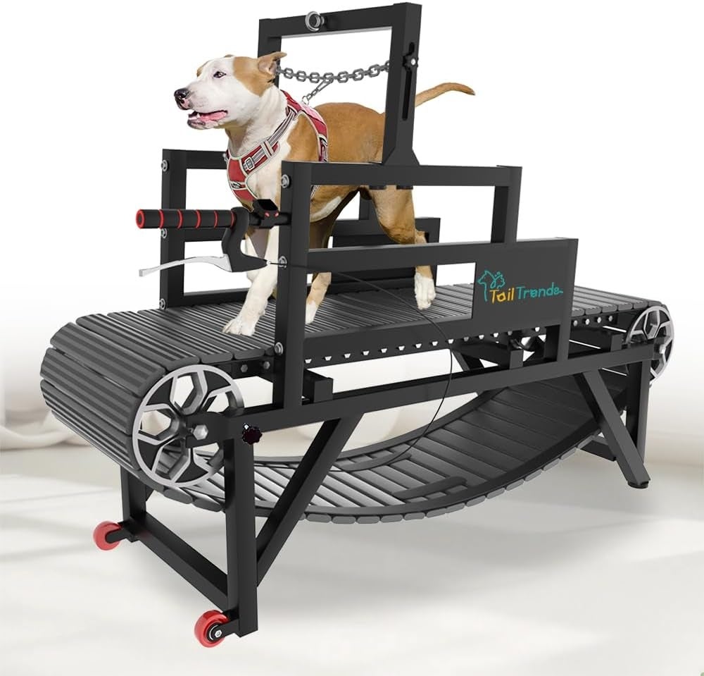 17 Best Treadmills For Dogs 2025