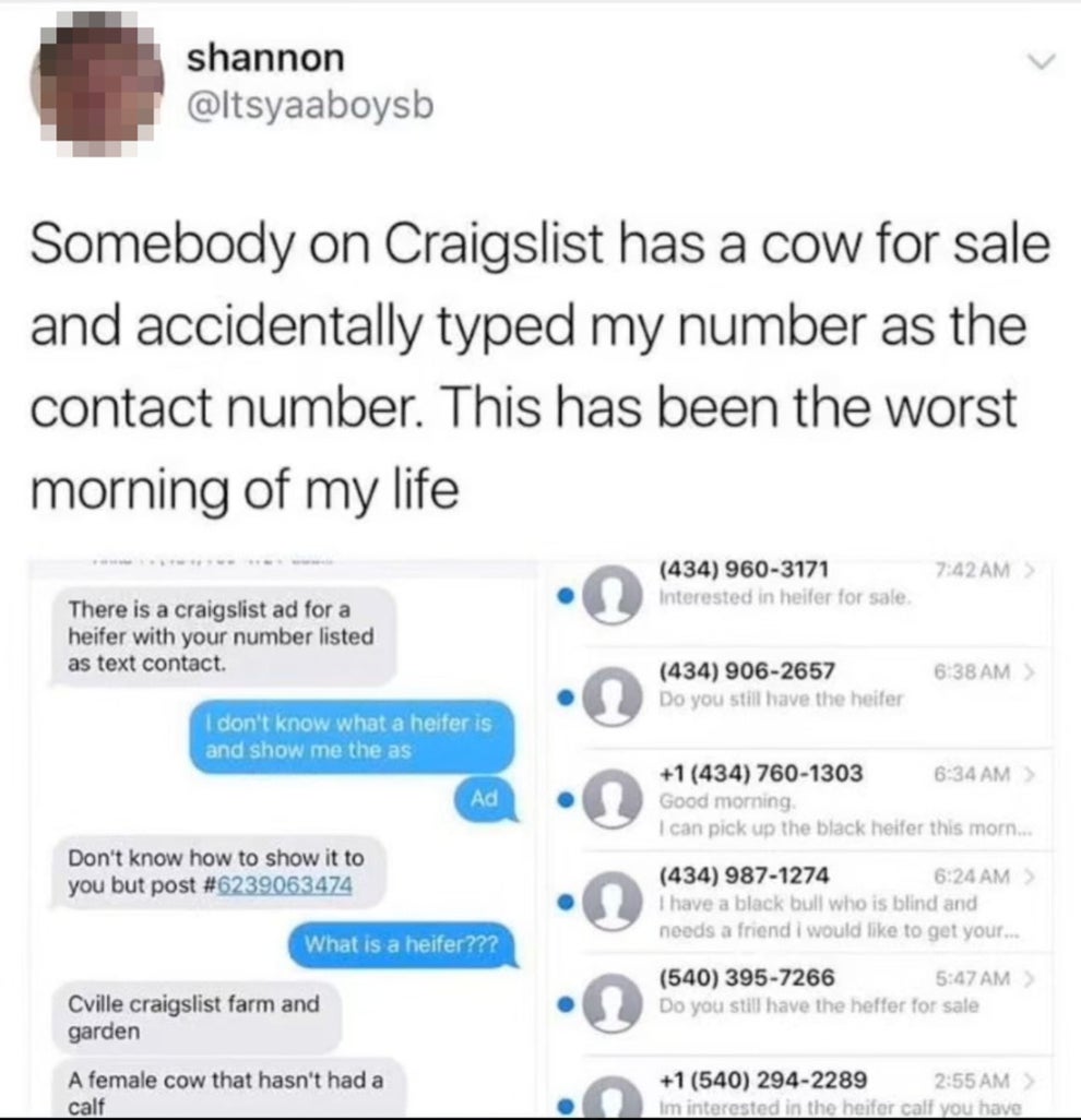 75 Extremely Dumb Pictures That Pretty Much Never Fail To Make Me Laugh ...