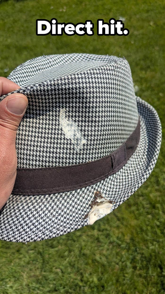 24 People Who Woke Up One Morning Over The Past Week And Kinda Sort-Of ...