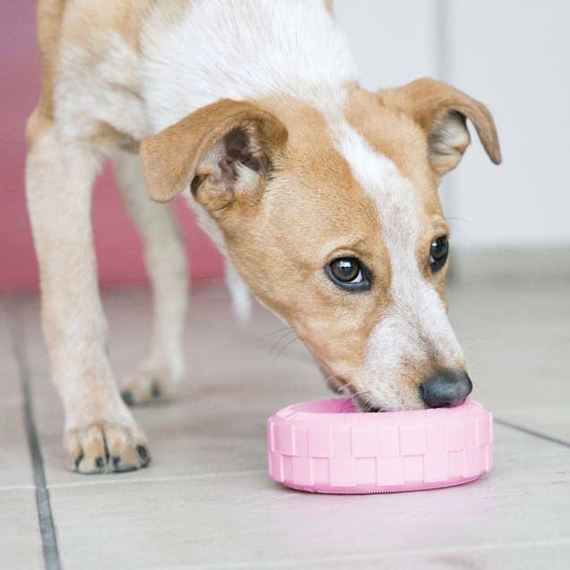 27 Useful Petco Products For Dog Parents