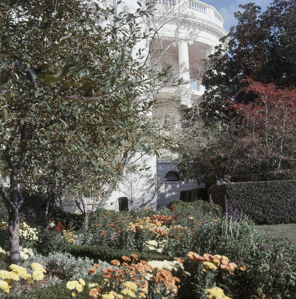 Photos Of The White House Rose Garden Through History