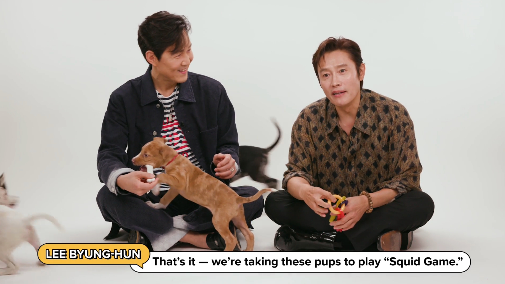 Squid Game Cast Puppy Interview