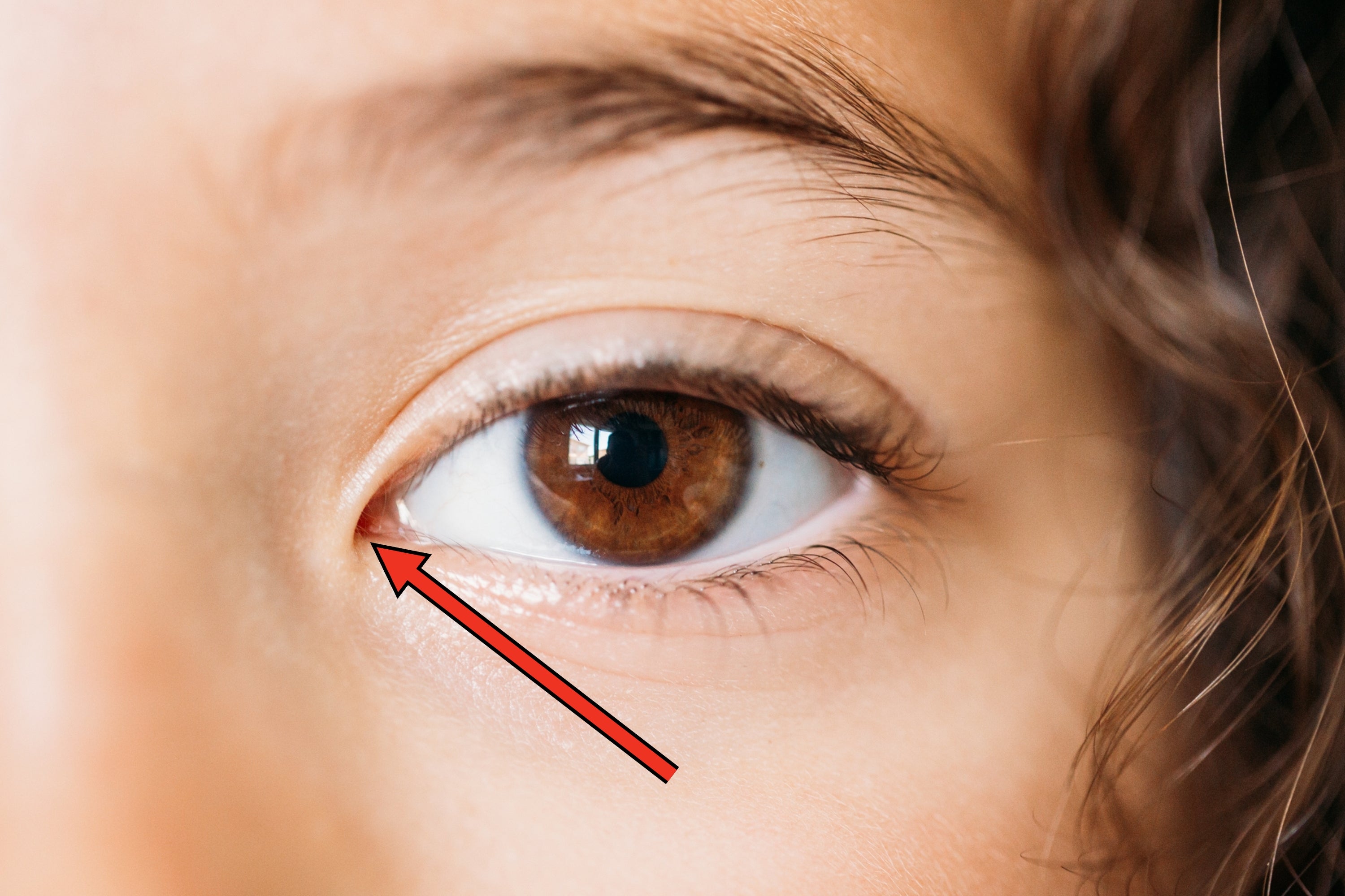 19 Weird, Strange, Unforgettable Facts