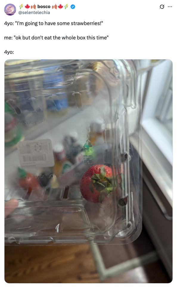 29 Hilarious Internet Fails From Last Week