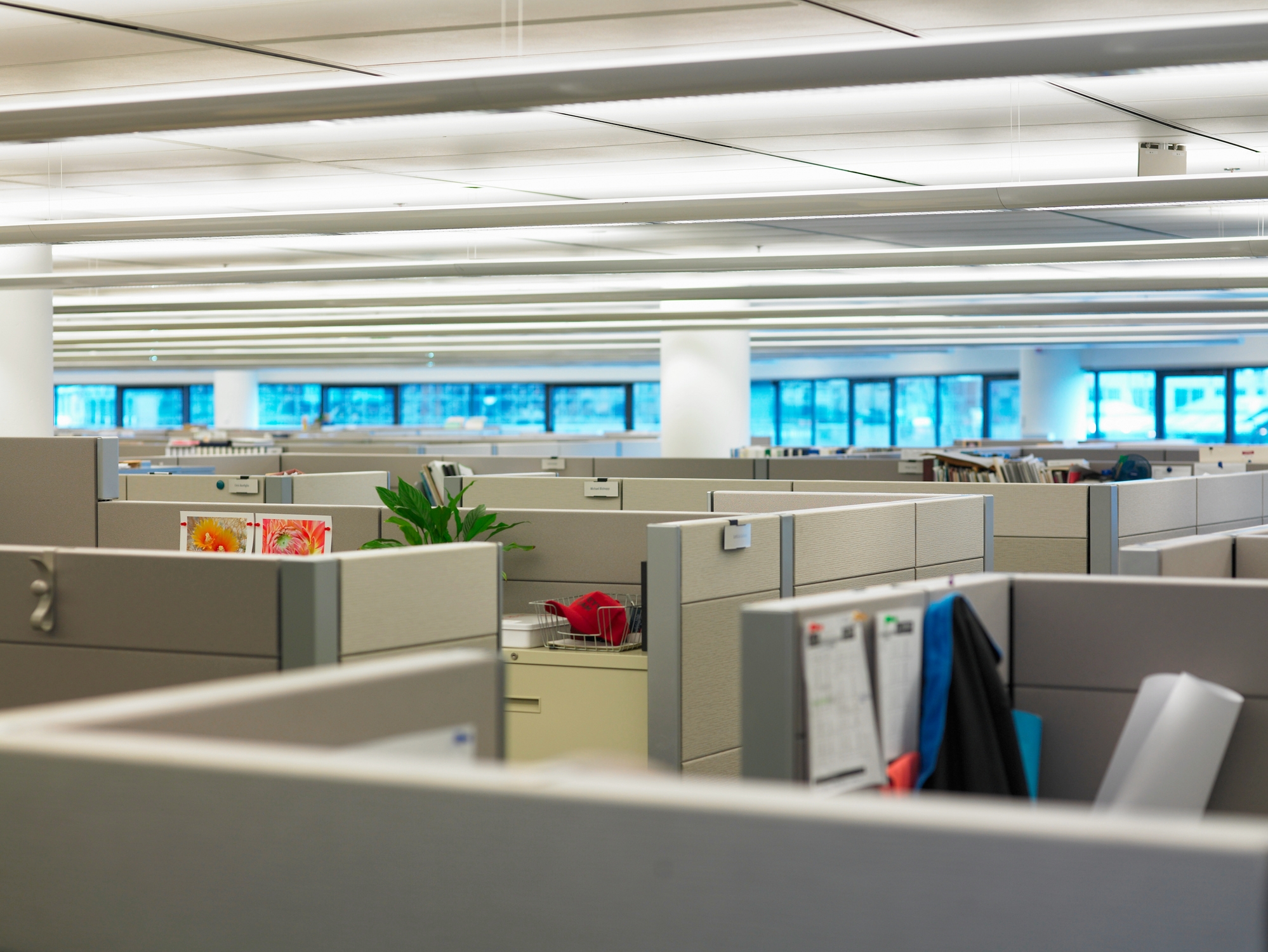 26 NSFW Workplace Incidents That Got People Fired