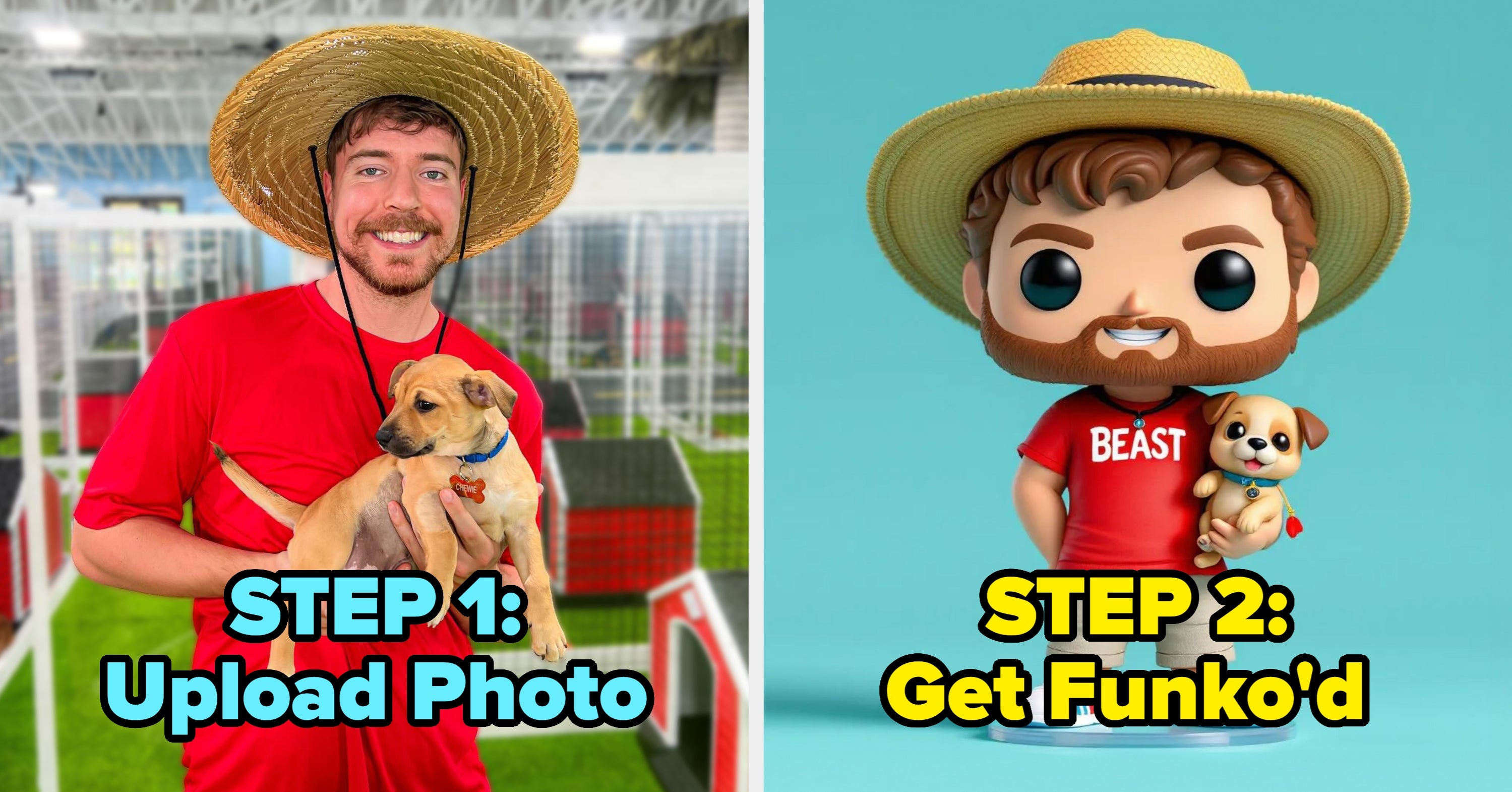 Turn Youself Into A Funko Pop: Custom Funko Pop Generator