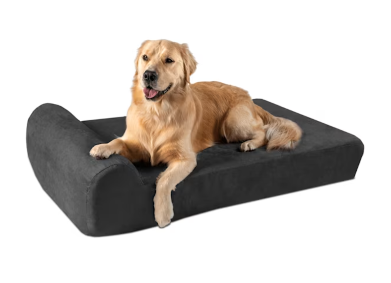 27 Petco Products To Make Life Easier For Pet Owners