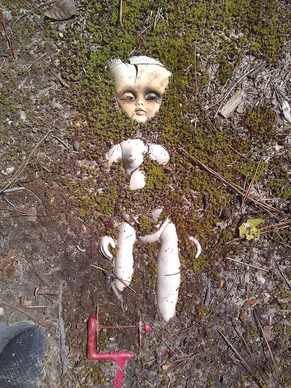 17 Disturbing Finds Captured On Camera