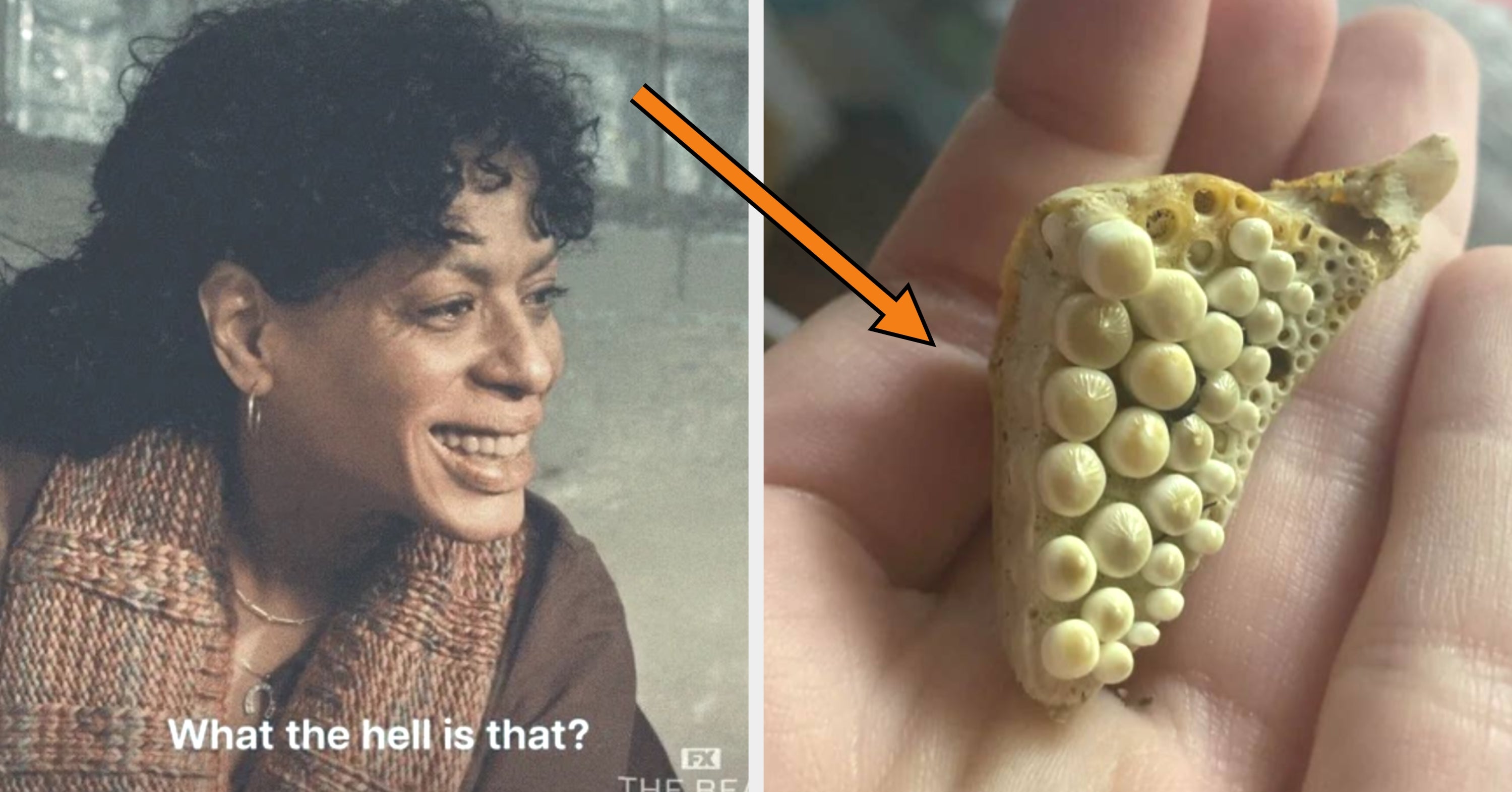 47 Weird Items Identified By People On The Internet
