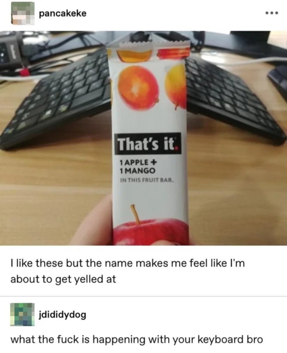 77 Extremely Dumb Pictures That Pretty Much Never Fail To Make Me Laugh ...