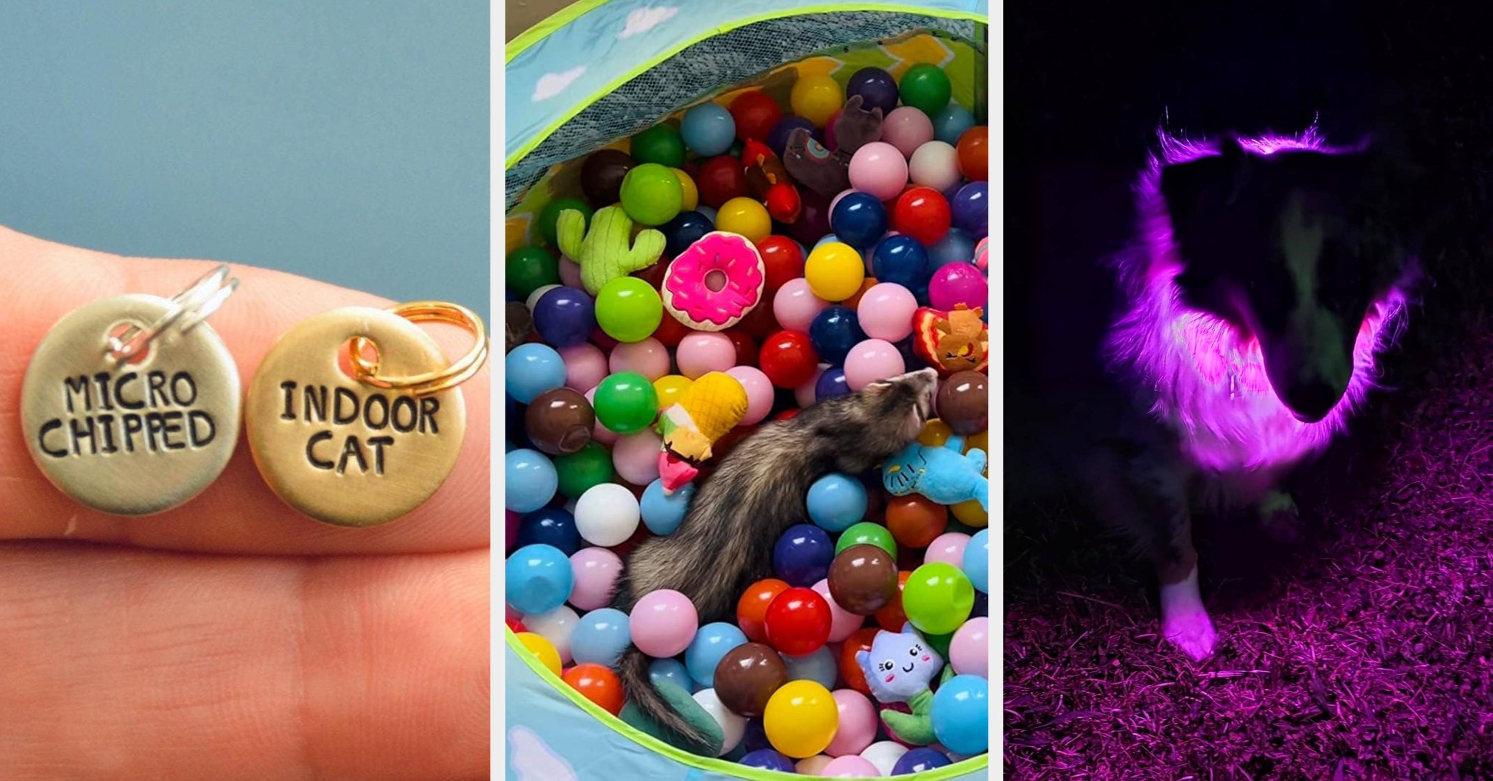 37 Things Pet Parents Will Want To Buy