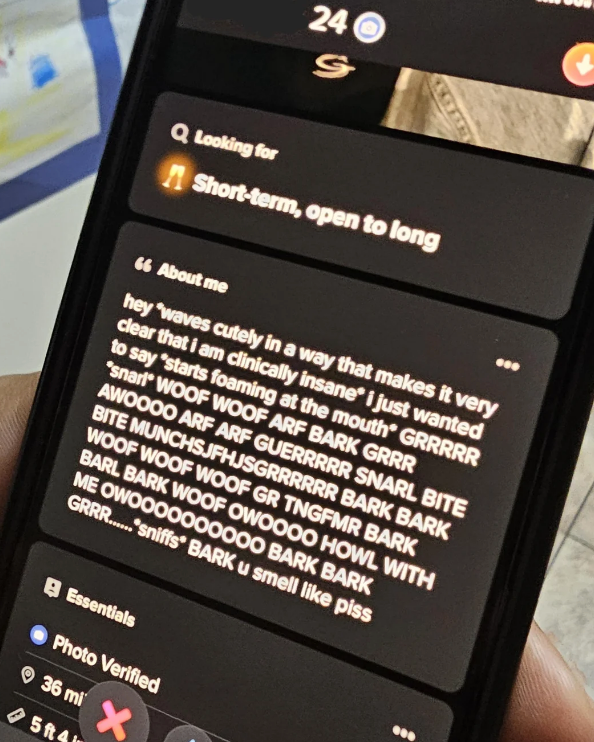 38 Horrifically Bad Dating Profiles