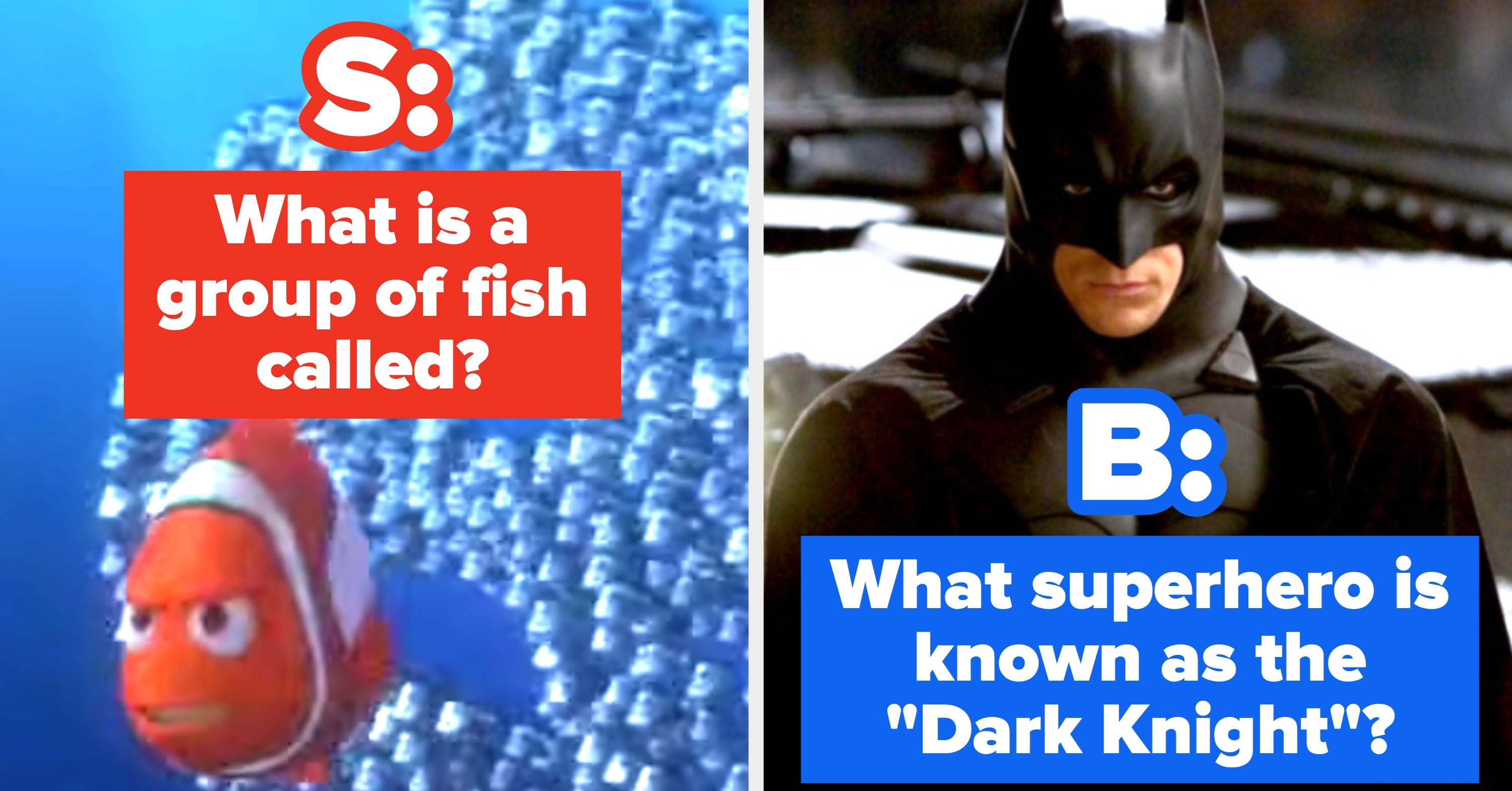 A Z General Knowledge Trivia Quiz Buzzfeed Quizzes