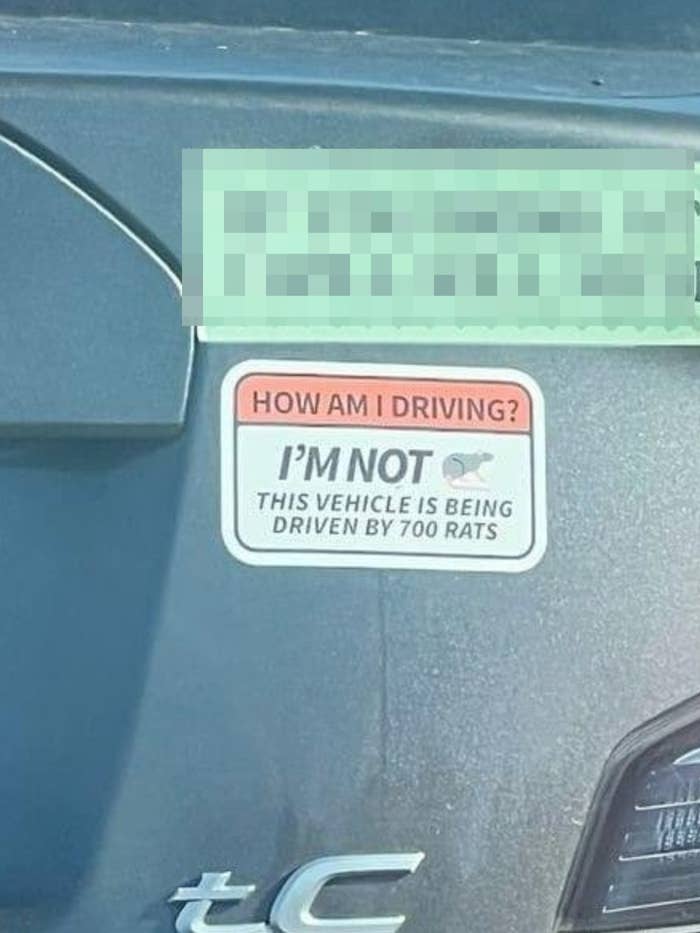 50 Bumper Stickers That Make Me Laugh Uncontrollably No Matter How Many ...