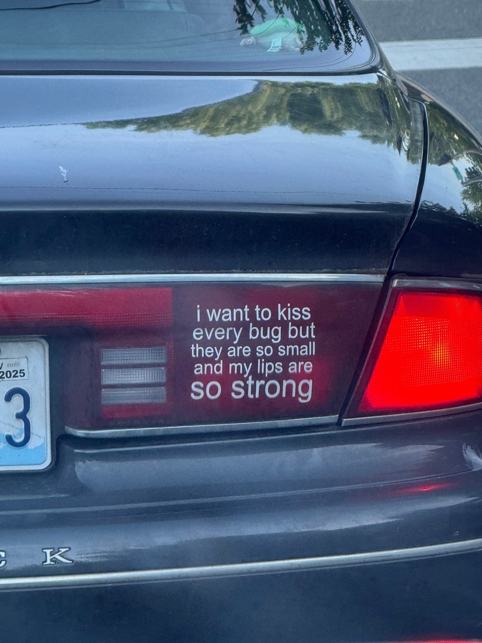 50 Bumper Stickers That Make Me Laugh Uncontrollably No Matter How Many ...