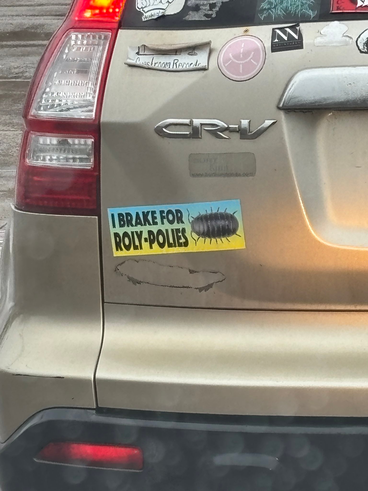 50 Bumper Stickers That Make Me Laugh Uncontrollably No Matter How Many ...