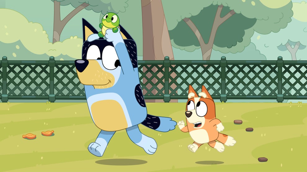 Best "Bluey" Fan Theories