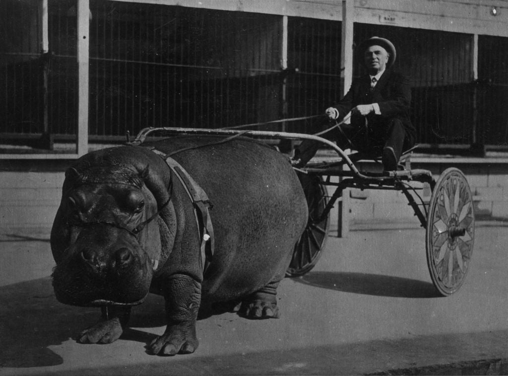 23 Weird Historical Photos You Won’t Believe