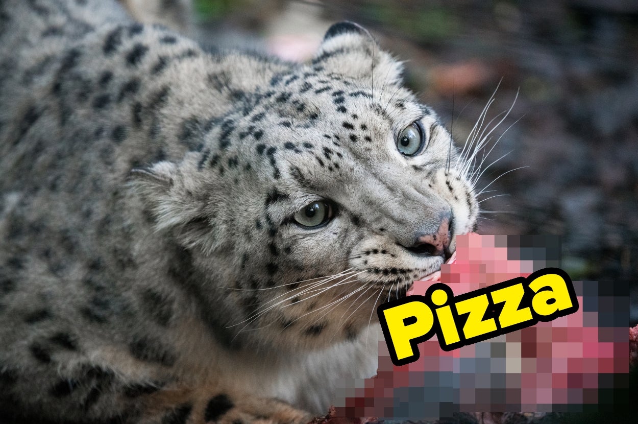 Food Quizzes on BuzzFeed