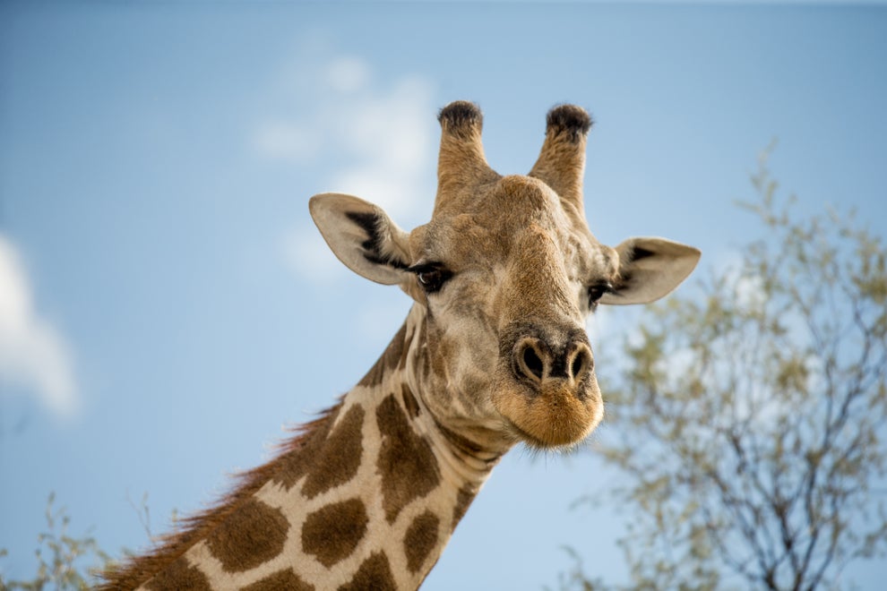 125 Funny Trivia Questions That Will Make You LOL