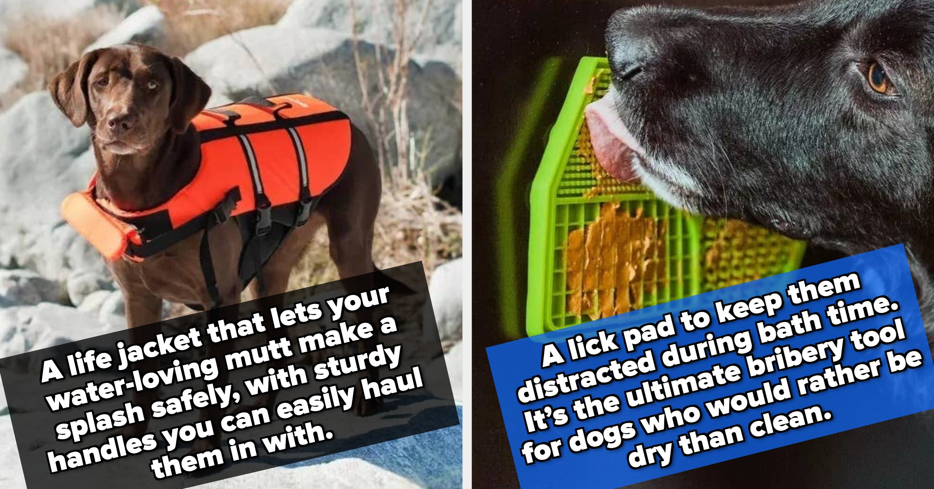 25 Target Products To Treat Your Dog To