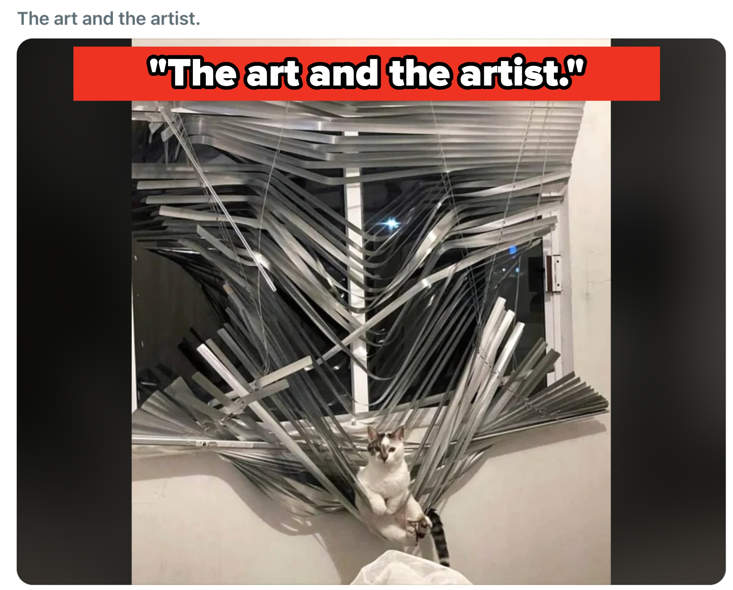 Ridiculous Moments That Turned Eye-Rolls Into Laughter