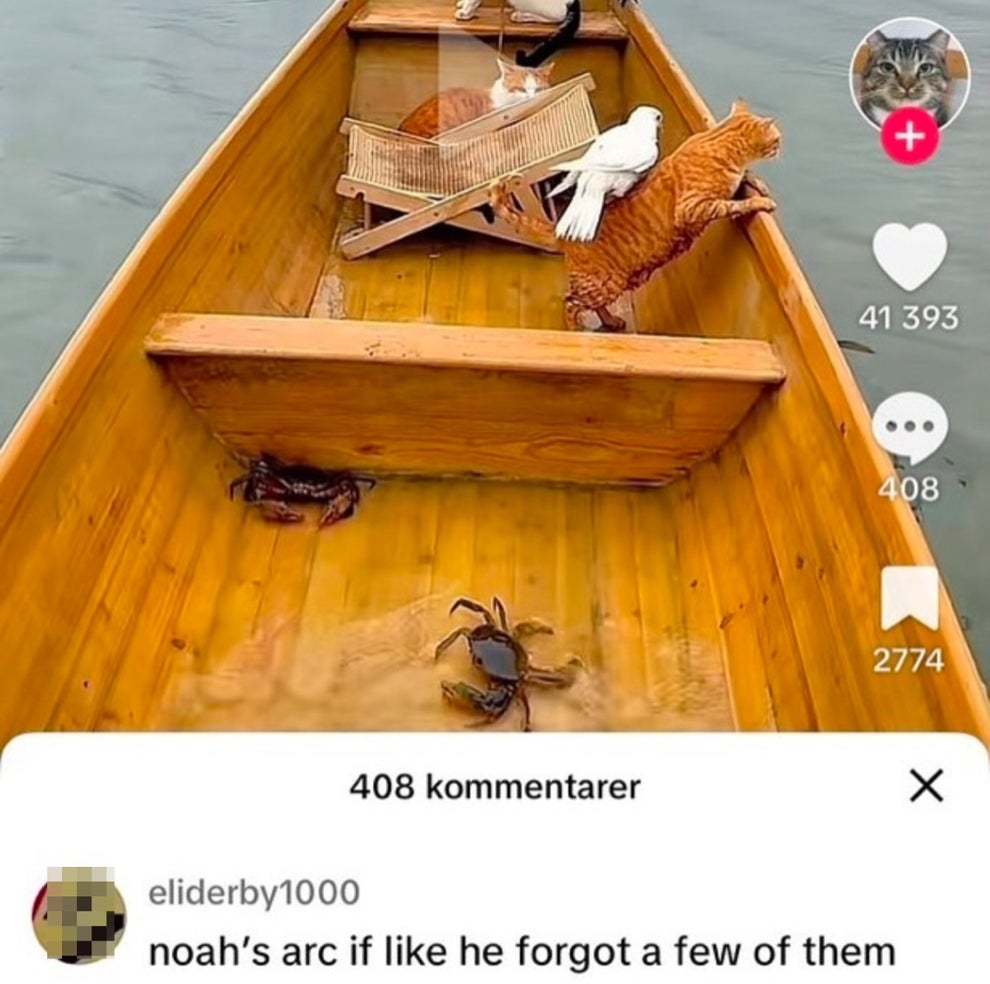 I Just Spit Out My Sugar Free Red Bull Laughing At These Complete Strangers Who Came Out Of ...