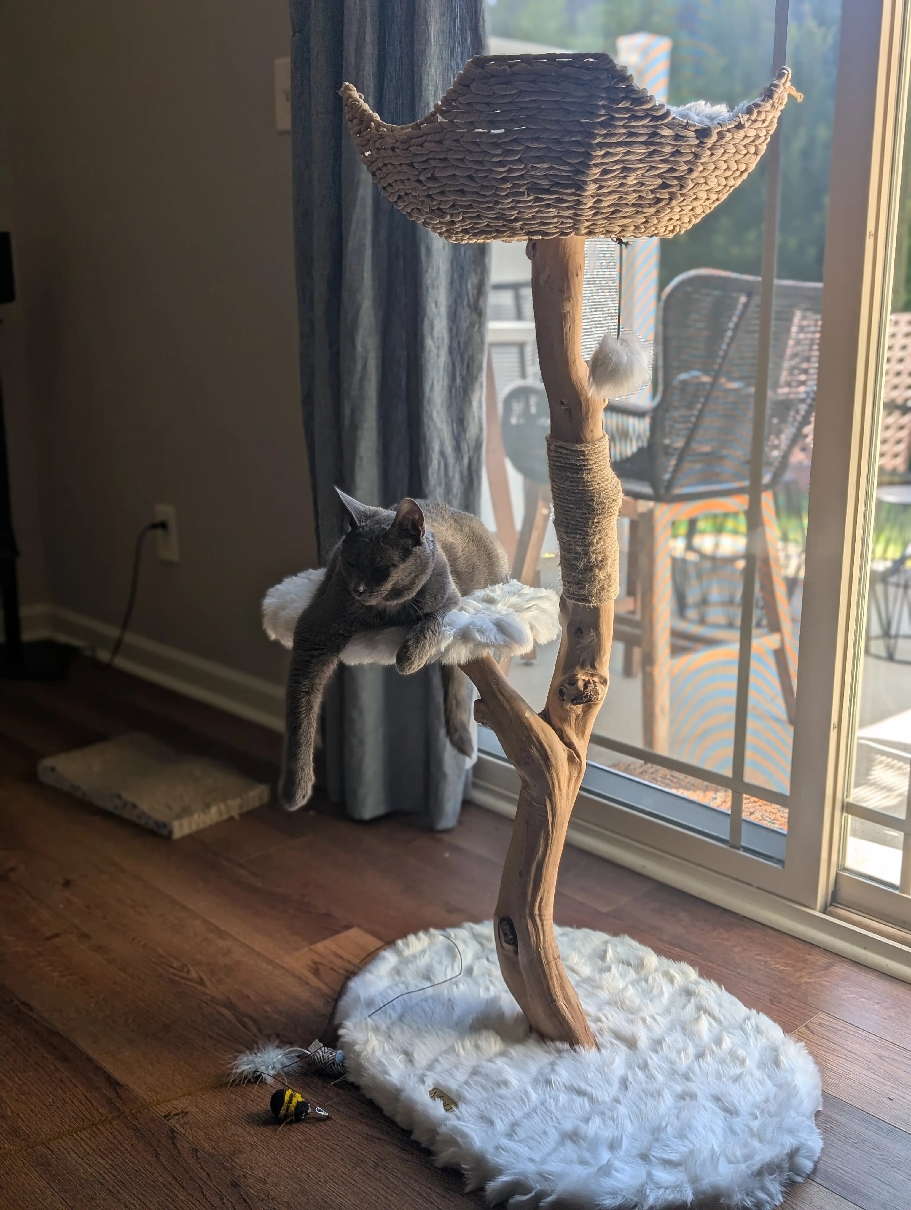 I Splurged On A Viral Cat Tree, And I Love It