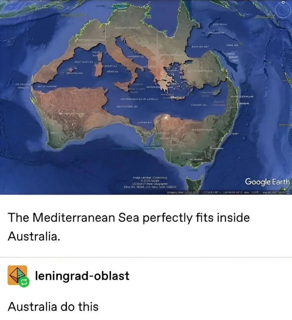 75 Extremely Dumb Pictures That Inexplicably Never Fail To Make Me ...