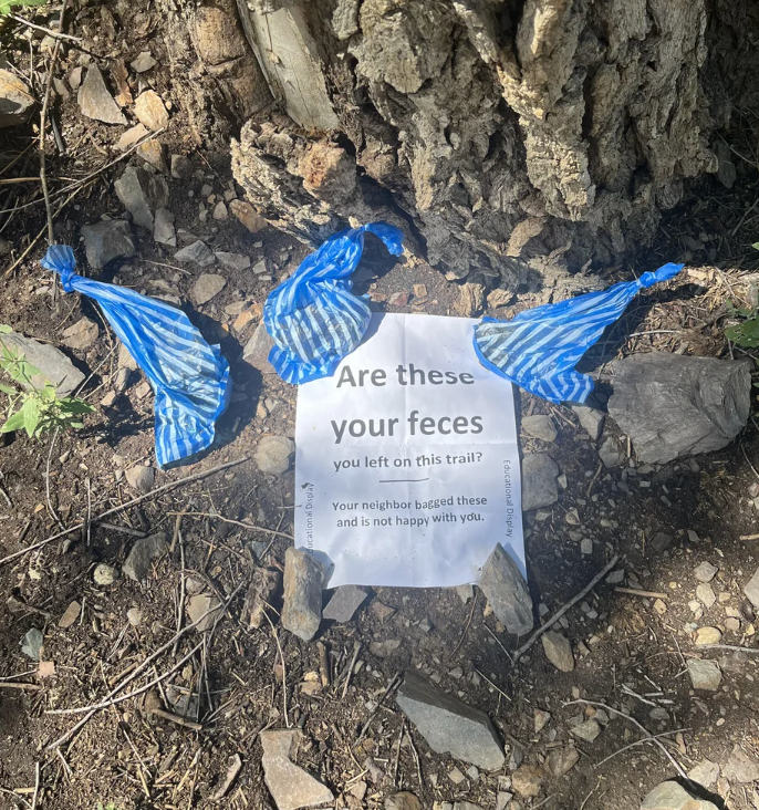 17 Absurdly Funny Signs You Need To See
