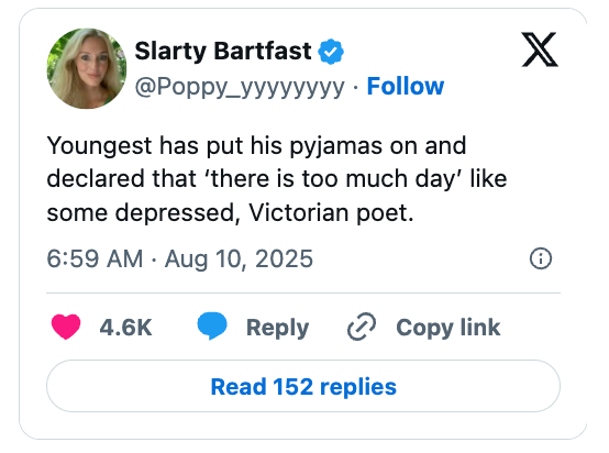 39 Hilariously Dumb Tweets That Will Make You LOL