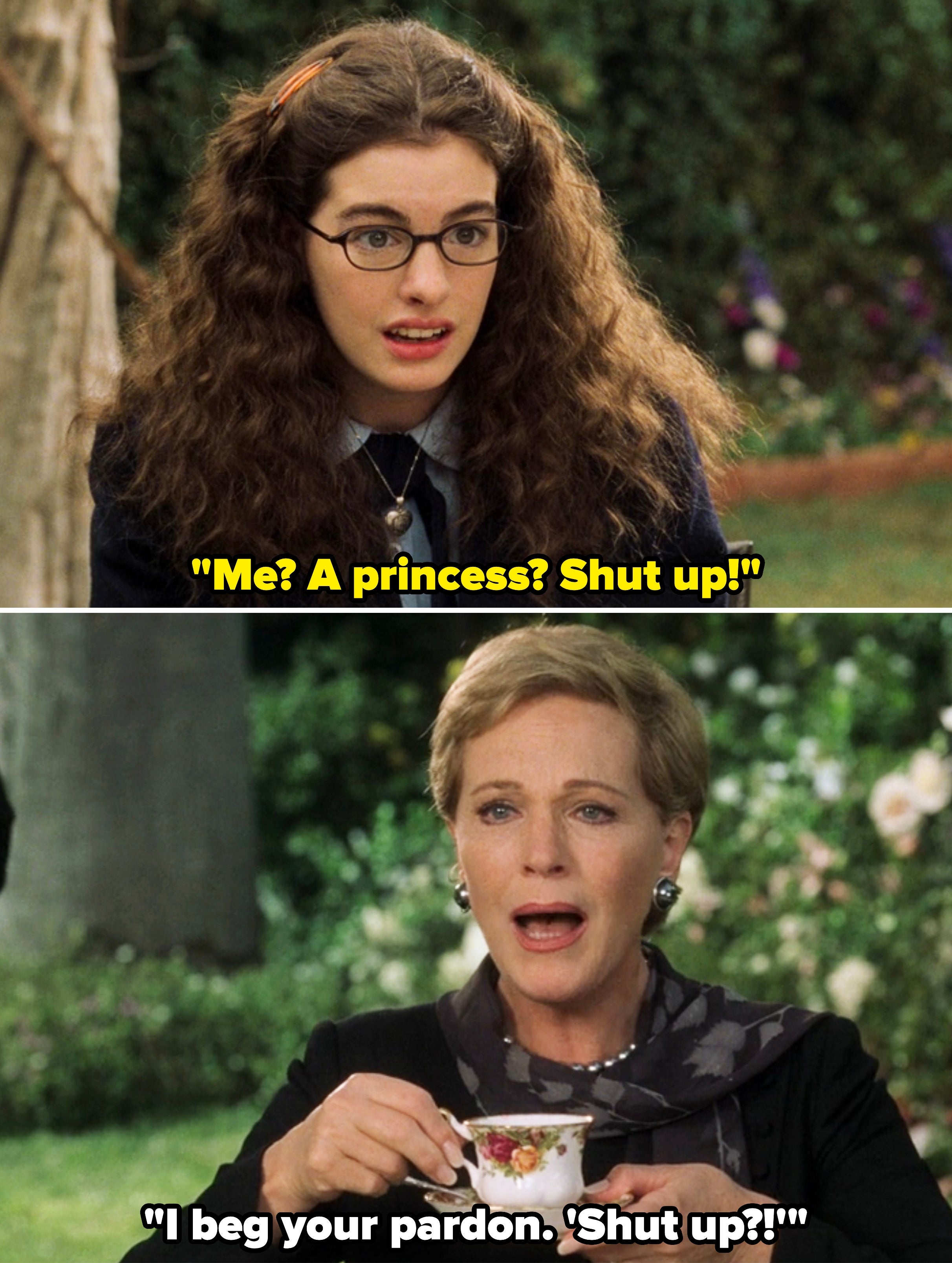 Best The Princess Diaries Behind The Scenes Facts