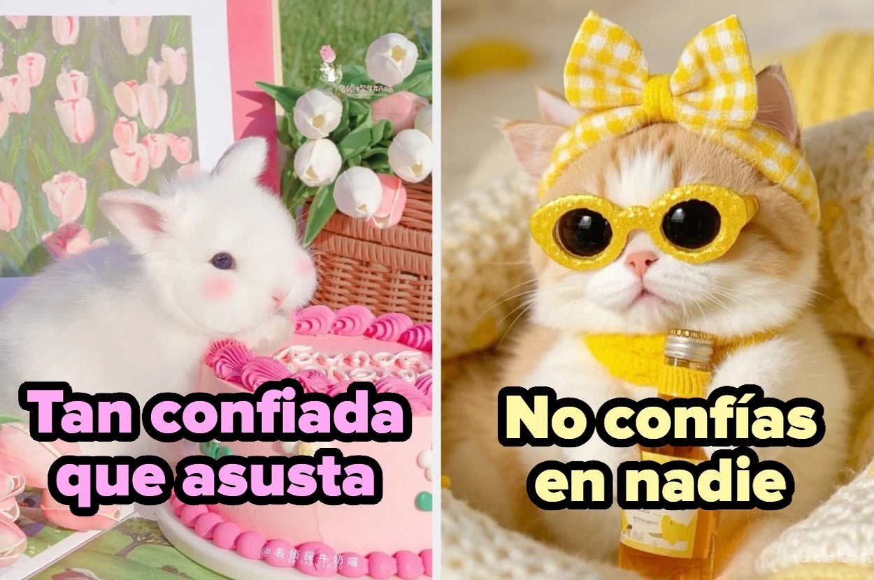 Puedo adivinar qué tanto confías en los demás solo con tu selección de ...