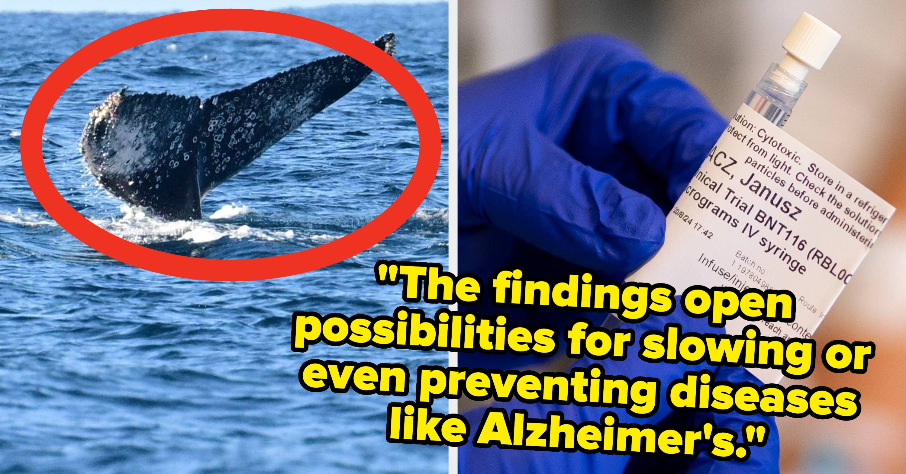 18 Good Things Happening In The World Right Now