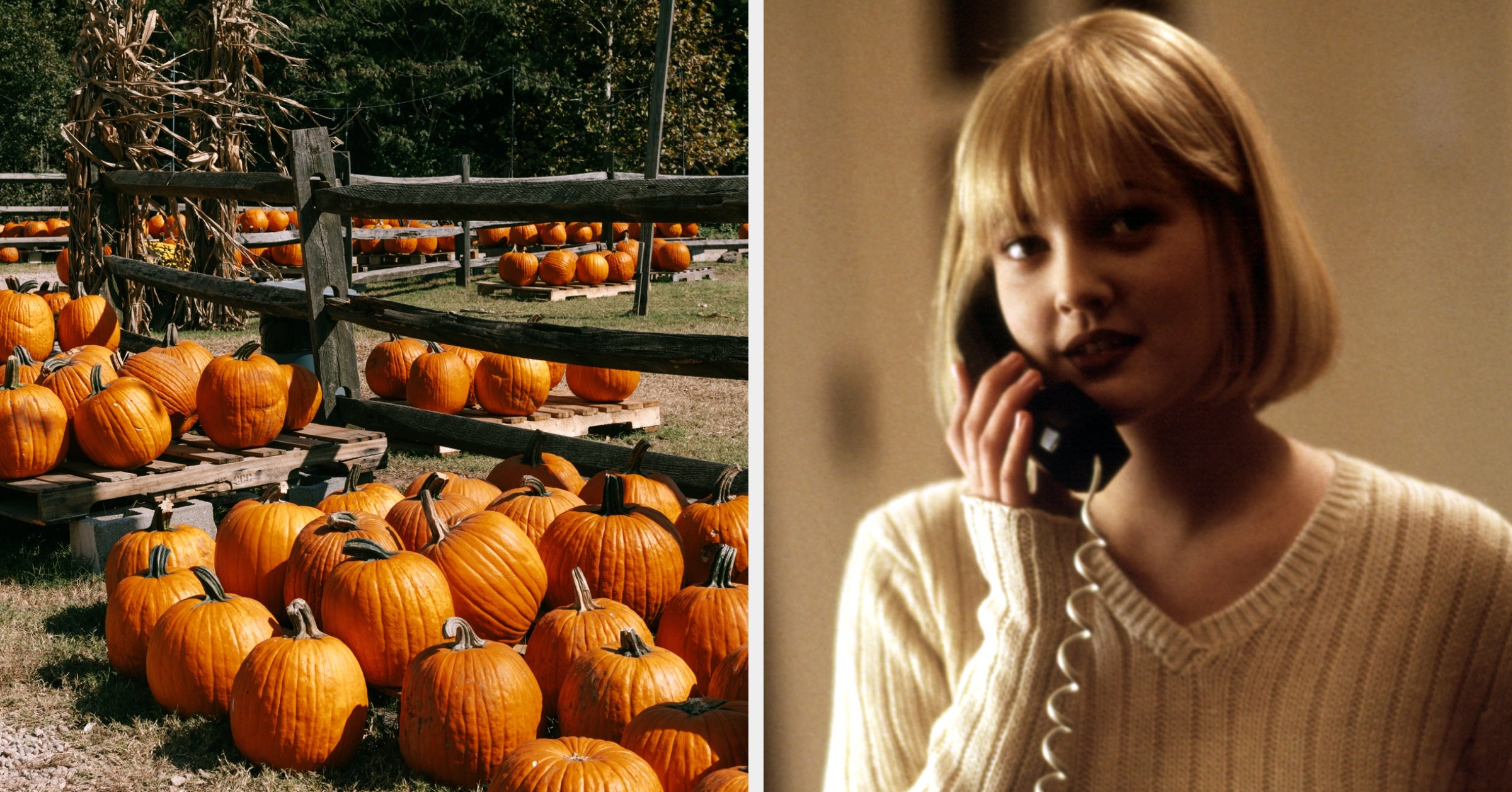 Plan A Fall Day And Get A Horror Movie Role