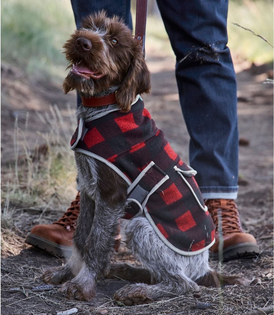 27 Must-Have L.L. Bean Items For Fall Outdoors