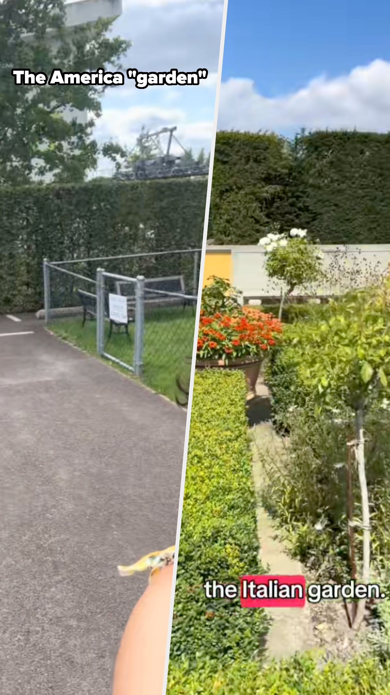 Berlin's America Garden Has The Internet Howling
