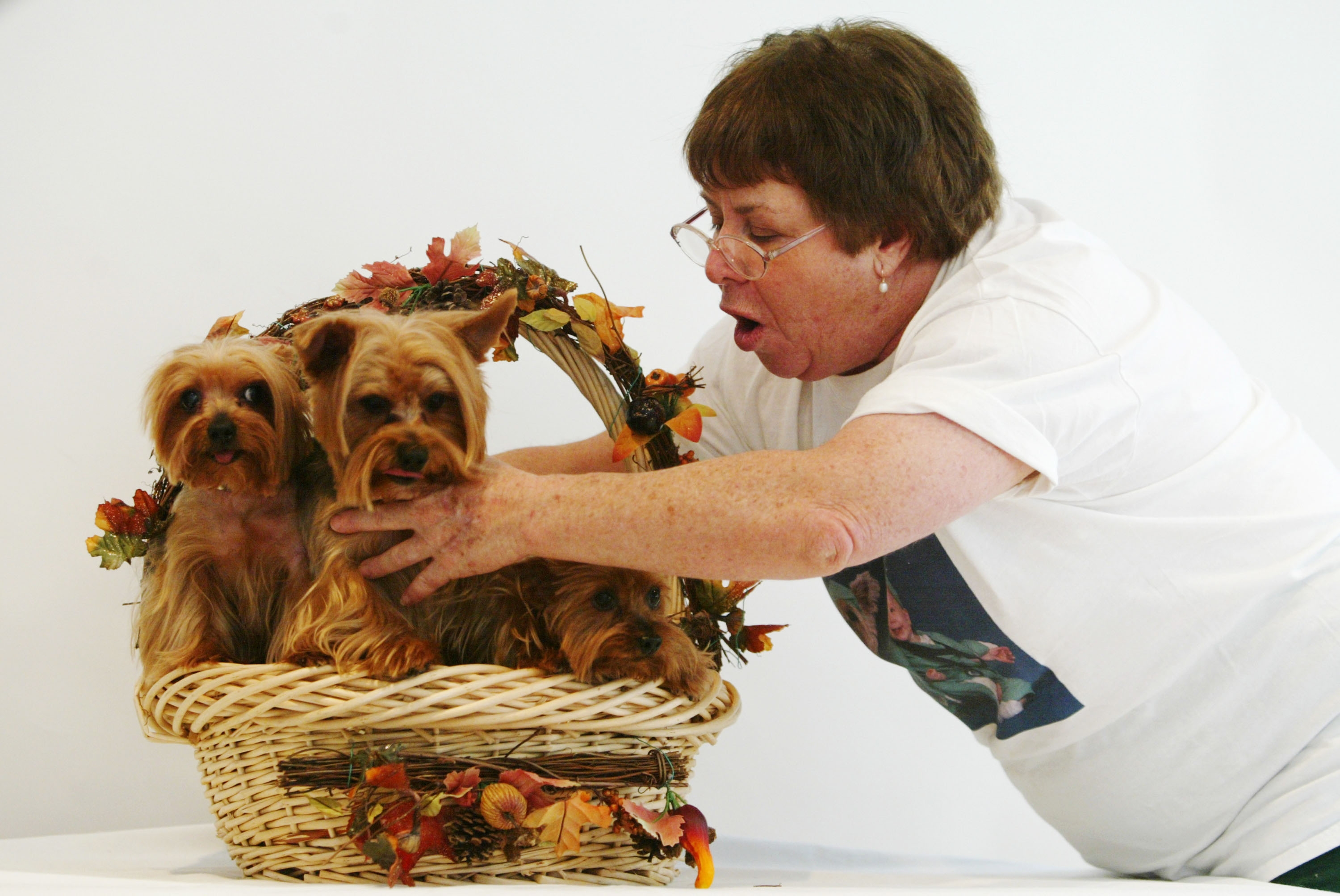 Dog Parents Who Take Pampering To A Whole New Level