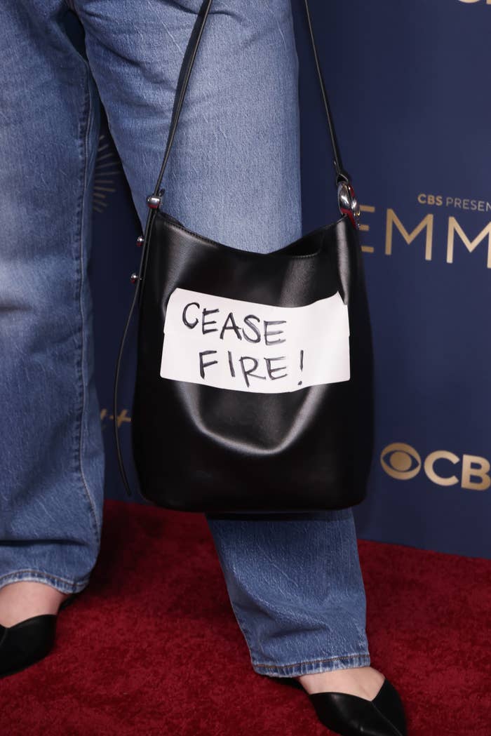 Meg Stalter And Javier Bardem Emmys Palestine Statement