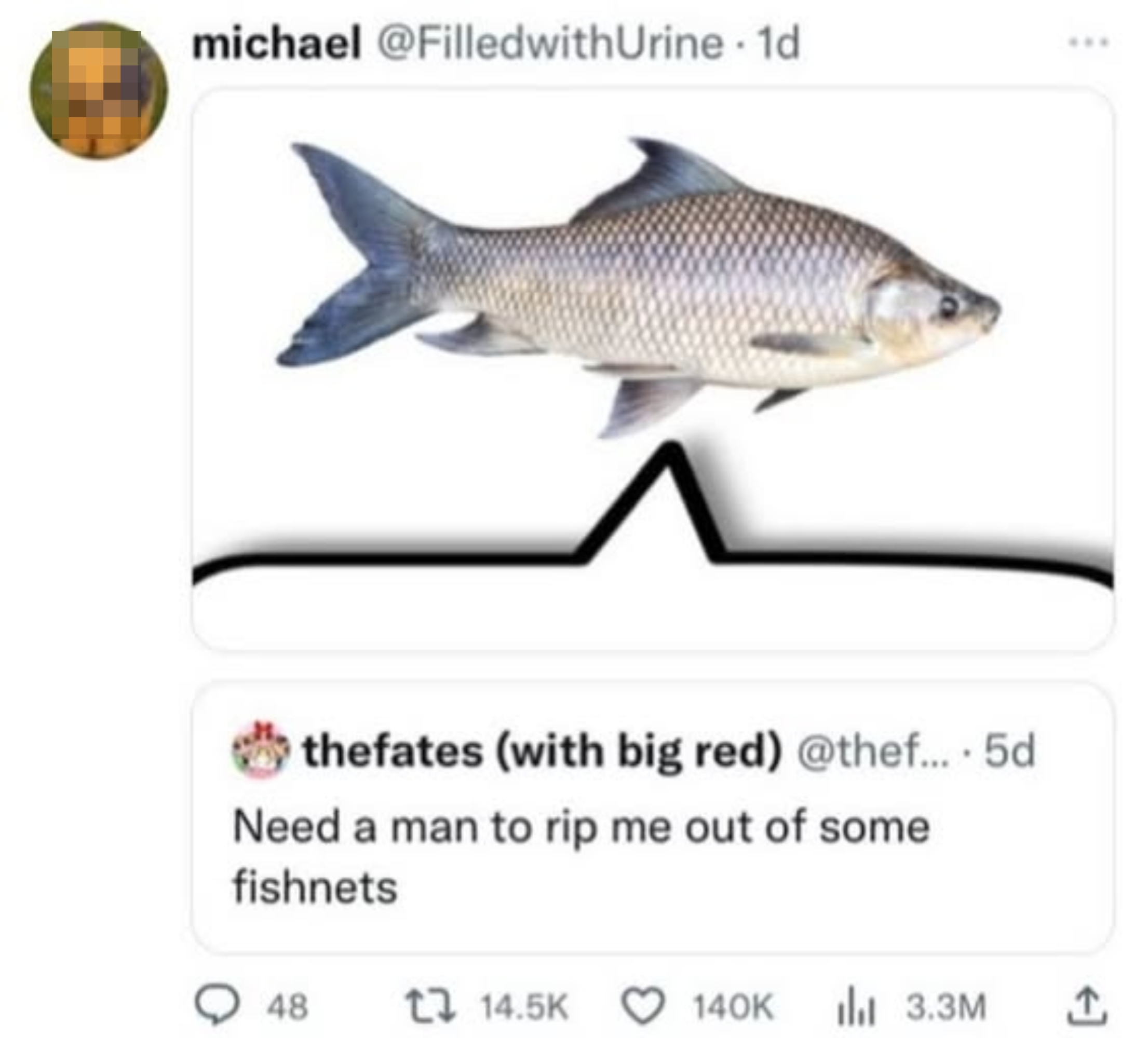 I Just Spit Out My Iced Americano Cackling At These Complete Strangers Who Came Out Of Nowhere ...