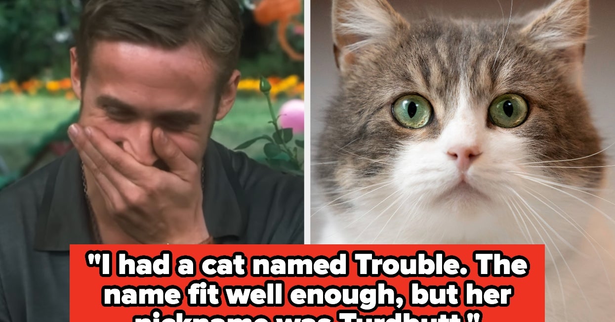 Hilarious Pet Names And Nicknames
